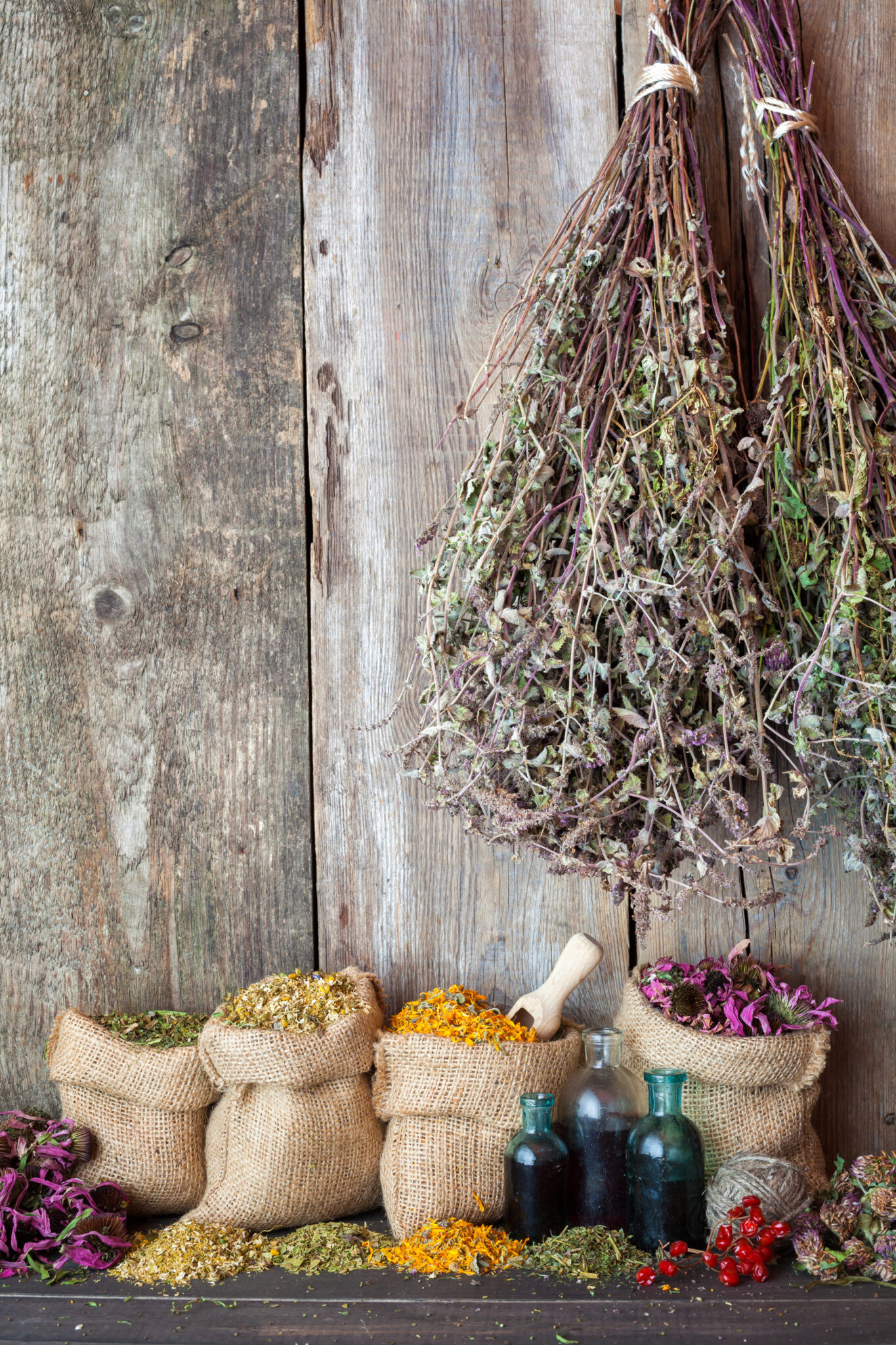 Dragon Centre – Online store for traditional African herbal remedies